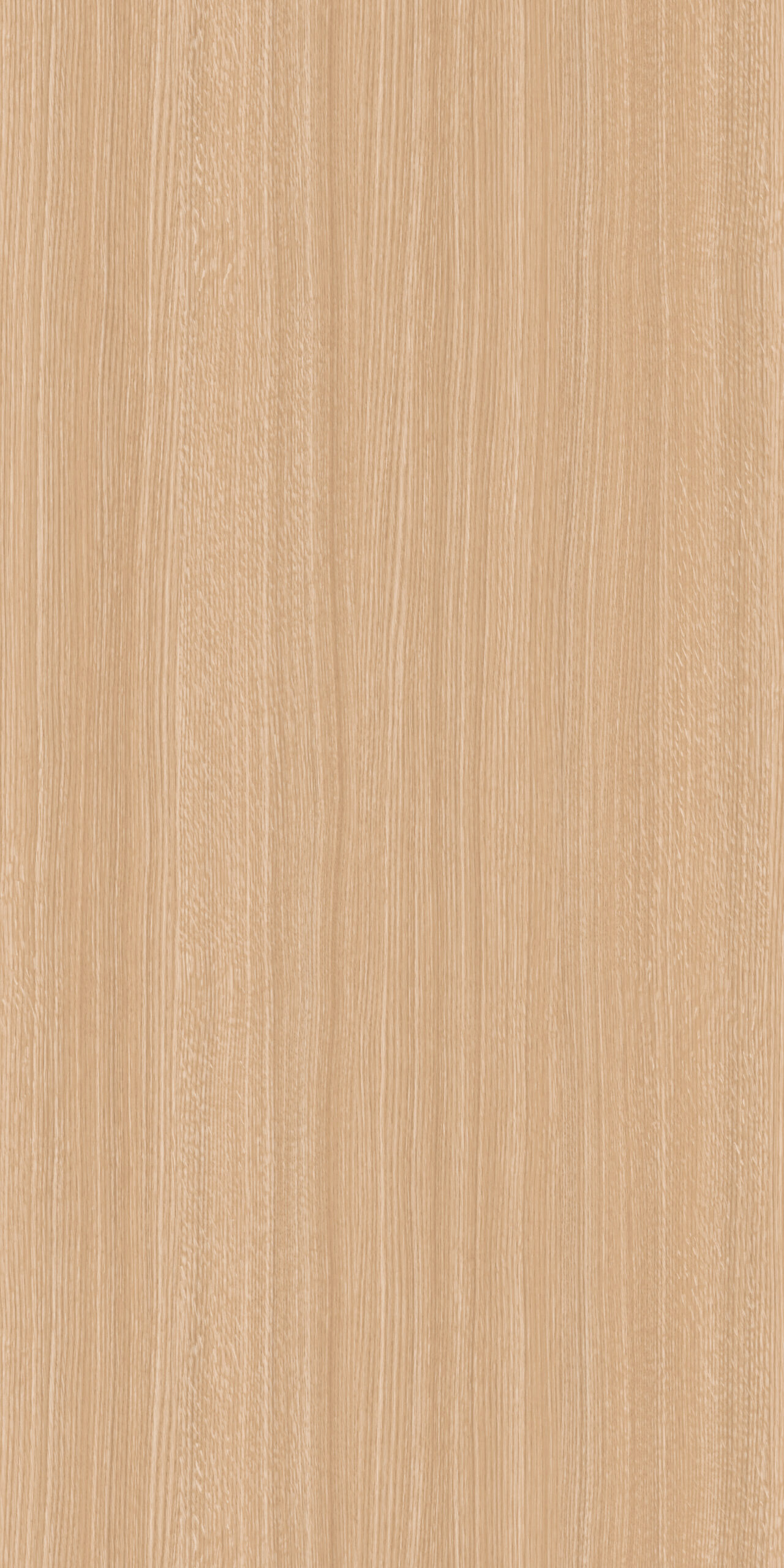 Rovere Arena – El Triangulo